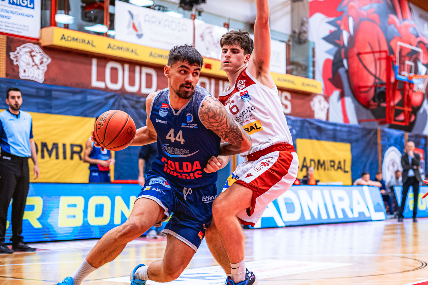 Fabio Söhnel verstärkt die LIONS! | druck.at Traiskirchen Lions