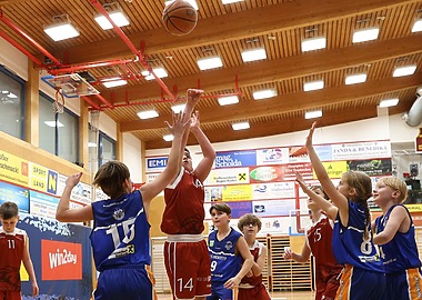 Knapper Heimsieg für die U12 LIONS | druck.at Traiskirchen Lions