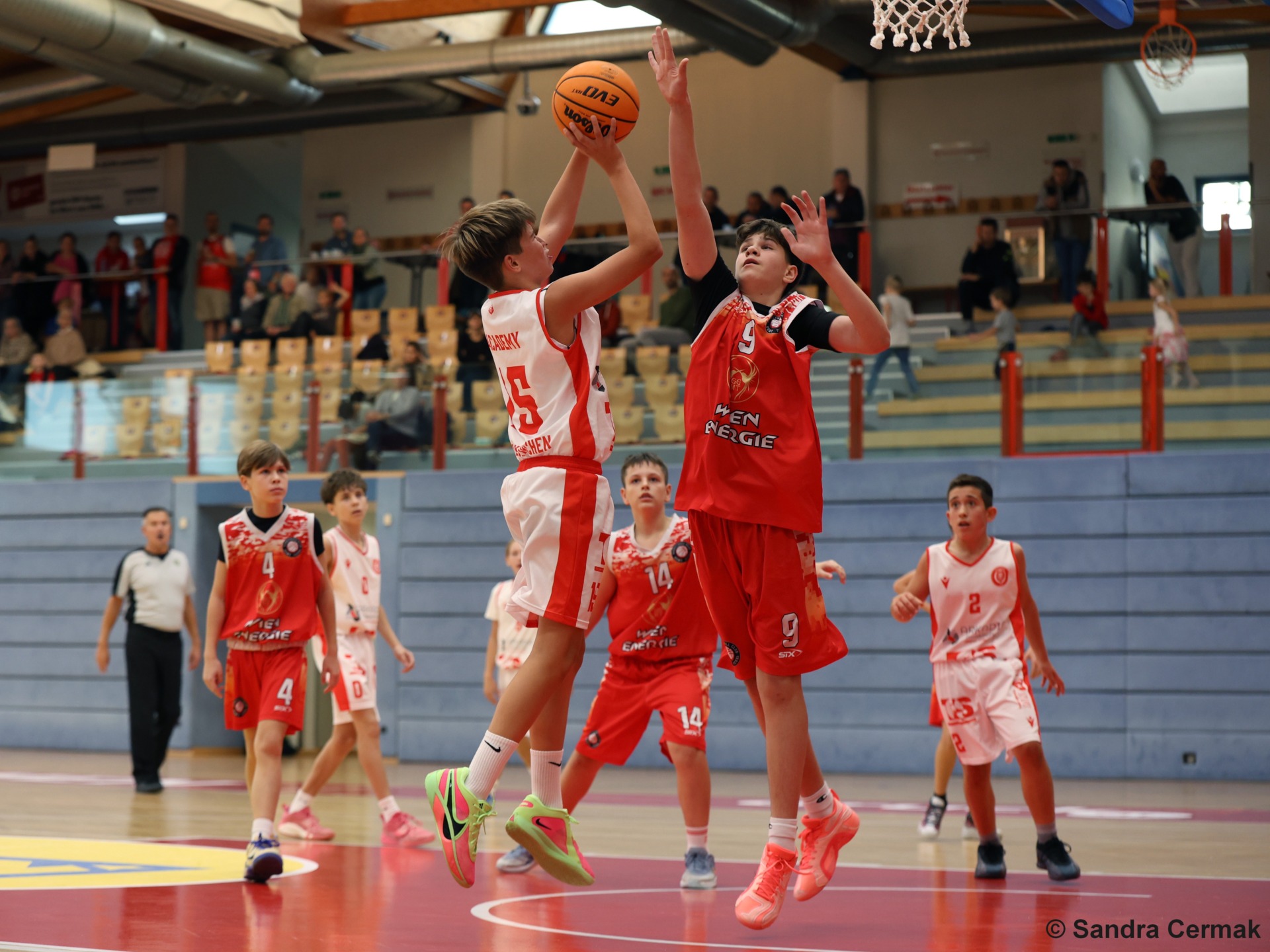 U14 LIONS mit Niederlage beim ersten Heimspiel | druck.at Traiskirchen ...